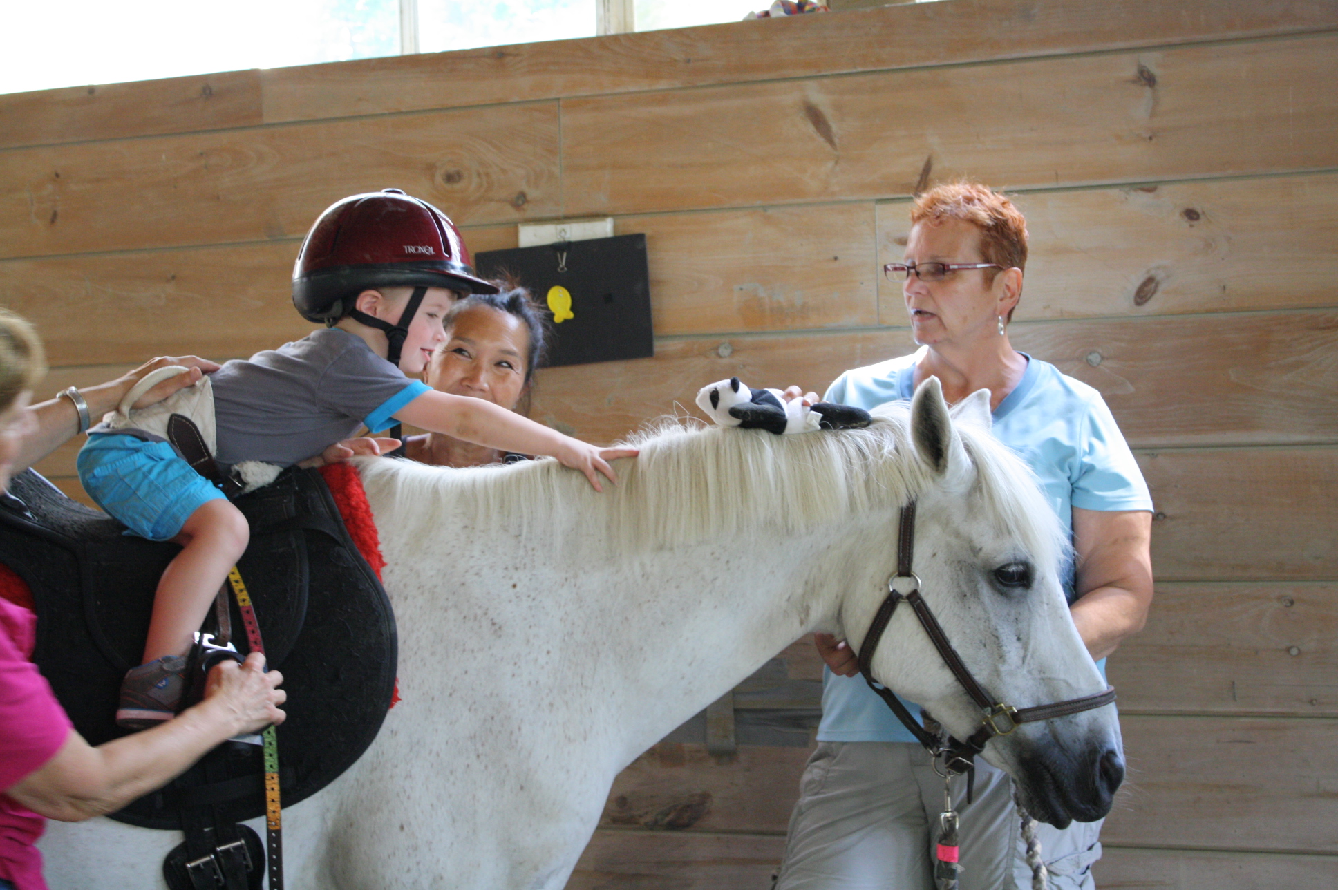 Minute Man Arc Receives Hippotherapy Grant from Foundation for MetroWest - Minute Man Arc